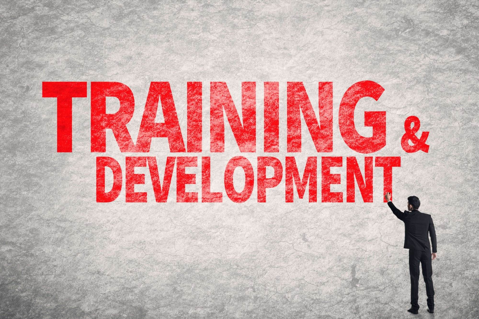 Training Services - Esterhuizen Coaching and Consulting - ECCSA
